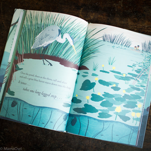 Kate Messner - Over And Under The Pond – MamaOwl