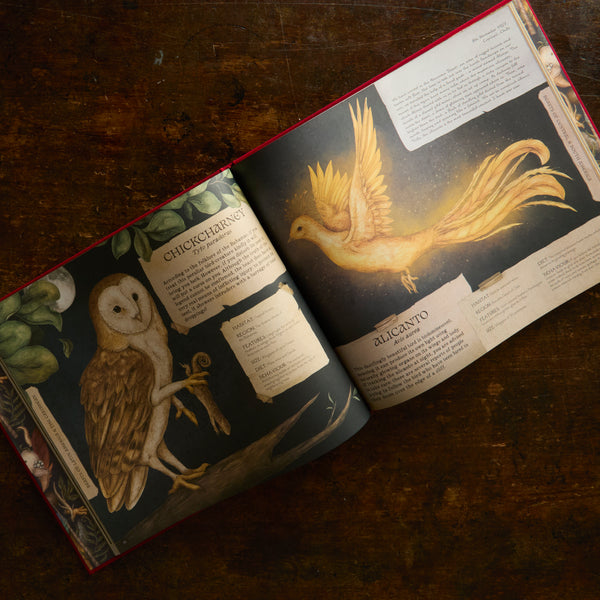 Emily Hawkins - A Natural History of Magical Beasts – MamaOwl