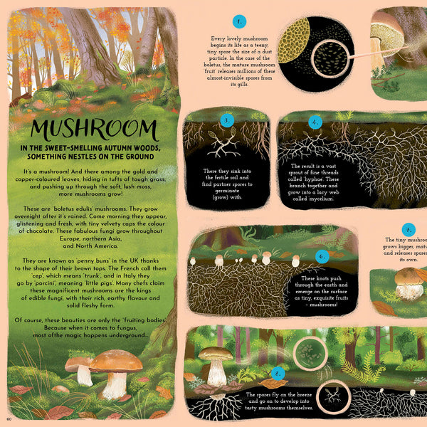 Gabby Dawnay - Round and Round Goes Mother Nature – MamaOwl