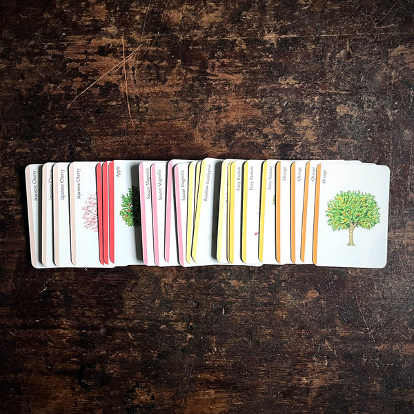 Tree Families: A Botanical Card Game – MamaOwl