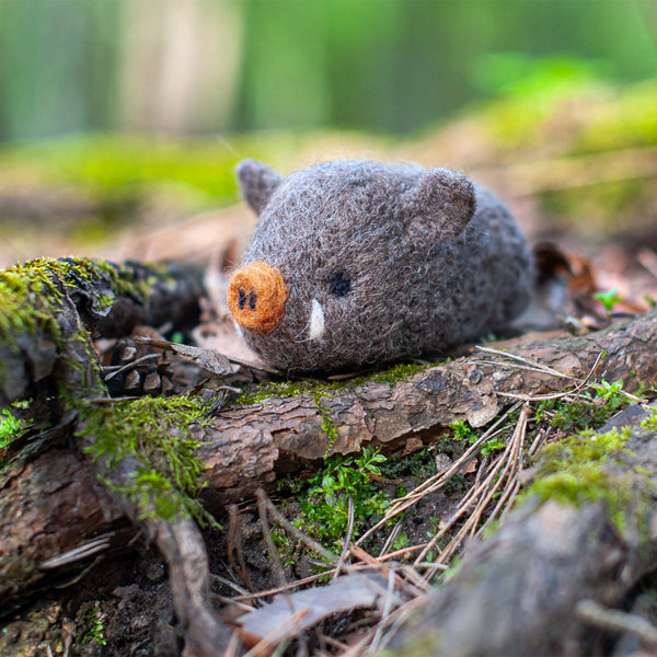 Felting Kit - Boar – MamaOwl