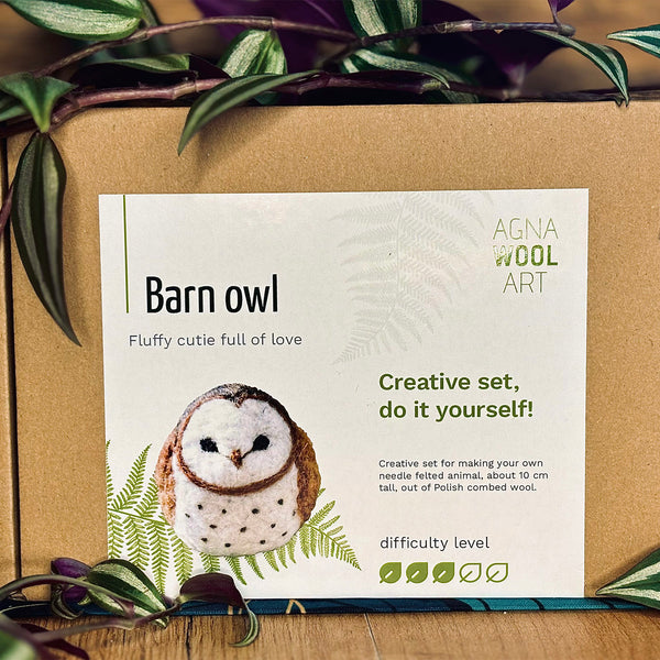Felting Kit - Owl – MamaOwl
