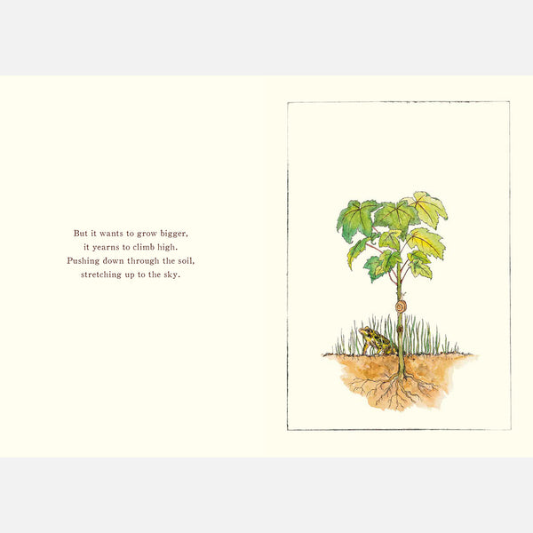 Laura Knowles - It Starts With A Seed – MamaOwl